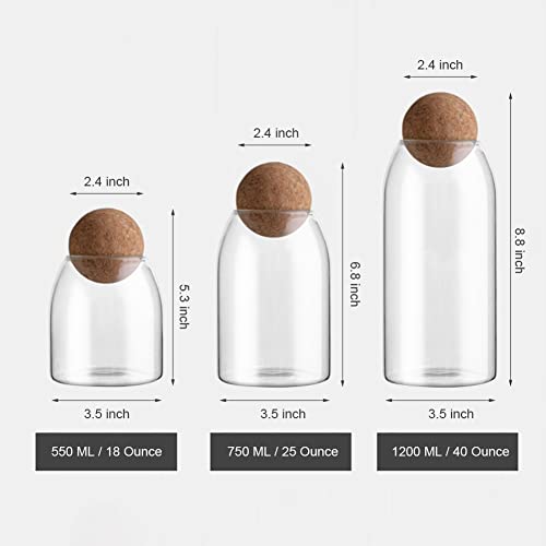 MOLFUJ 750ML/25Oz Glass Storage Container with Ball Cork, Cute Decorative Organizer Bottle Canister Jar with Air Tight Wood Lid for Food, Coffee, Candy, Bathroom Apothecary Cotton Swab Qtip Holder