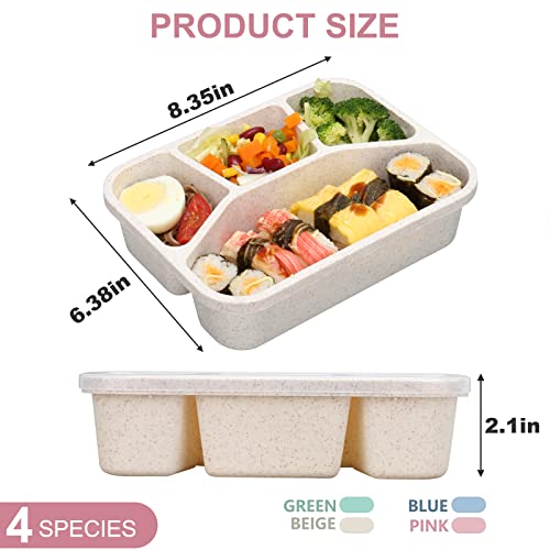 Ylebs 4 Pack Bento Lunch Box Reusable 4 Compartment Lunch Containers for Adults,BPA Free Plastic Divided Food Meal Prep Containers,Schools,Work and Travel