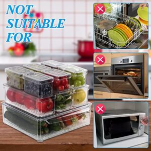 MorTime 10 Pack Refrigerator Organizer Bins with Lids, 3 Sizes Stackable Food Storage Containers Clear Plastic Organizers for Food Fruit Drinks Snacks in Kitchen Fridge Freezers