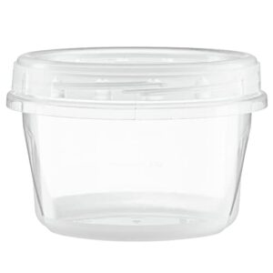 Elegant Disposables (16 Ounce 10 Pack) Clear Twist cap Containers with Screw on Lids Twist Top Food Storage Freezer Containers