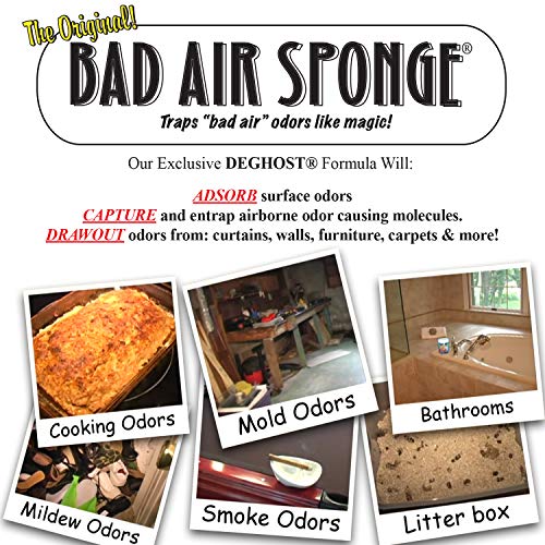 Bad Air Sponge 2lb. Container (3002N)