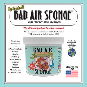 Bad Air Sponge 2lb. Container (3002N)