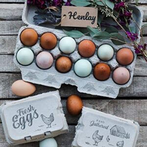 Half Dozen Empty Egg Cartons- Bulk 50 Full Dozen Can Split to 100 Half Dozen Size- Securely Holds 6 or 12 Extra Large Eggs