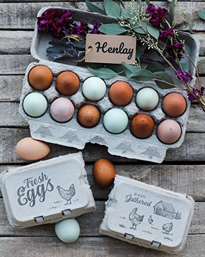 Half Dozen Empty Egg Cartons- Bulk 50 Full Dozen Can Split to 100 Half Dozen Size- Securely Holds 6 or 12 Extra Large Eggs