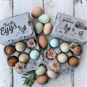 Half Dozen Empty Egg Cartons- Bulk 50 Full Dozen Can Split to 100 Half Dozen Size- Securely Holds 6 or 12 Extra Large Eggs