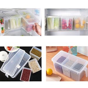 MineSign Plastic Storage Containers Square Handle Food Storage Organizer Boxes with Lids for Refrigerator Fridge Cabinet Desk (Set of 2 Organizers with Lid and 6 Removable Bins)