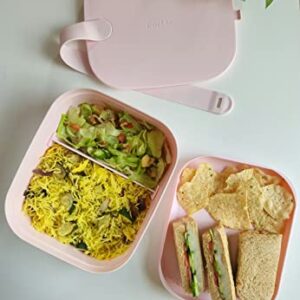 W&P Porter Lunch Box, 3 Compartment Bento Box Style Portable Adult Lunch Box with Snap Strap- Food Container, BPA Free, Dishwasher and Microwave Safe, Blush, Medium