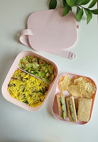 W&P Porter Lunch Box, 3 Compartment Bento Box Style Portable Adult Lunch Box with Snap Strap- Food Container, BPA Free, Dishwasher and Microwave Safe, Blush, Medium