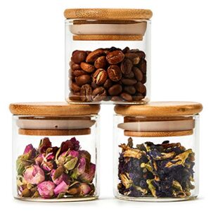 EZOWare 10 Bottles Glass Jar Set, Extra Small Air Tight Canister Storage Containers with Natural Bamboo Lids and Chalkboard Labels for Kitchen Spices, Bathroom, Party Favors (2.4oz.)