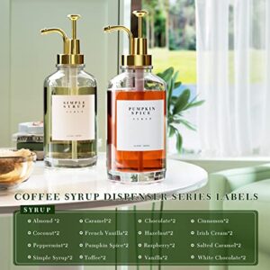 TIMIFTE Coffee Syrup Dispenser for Coffee Bar Accessories，Coffee Pump Dispenser, Glass Syrup Bottle With Gold Pumps and 42 Labels, 16.9 oz 500 ml (2 Pack)