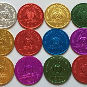 SET of 12 Recovery AA Medallion / Coins BSP 24hr-11mo Commemorative