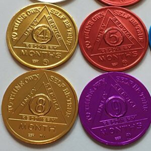 SET of 12 Recovery AA Medallion / Coins BSP 24hr-11mo Commemorative