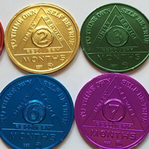 SET of 12 Recovery AA Medallion / Coins BSP 24hr-11mo Commemorative