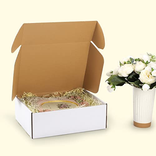 HORLIMER 12x9x4 inches Shipping Boxes Set of 20, White Corrugated Cardboard Box Literature Mailer