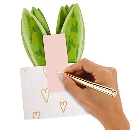 Hallmark Paper Wonder Pop Up Valentines Day Card (Snake Plant) (5VFE1127)