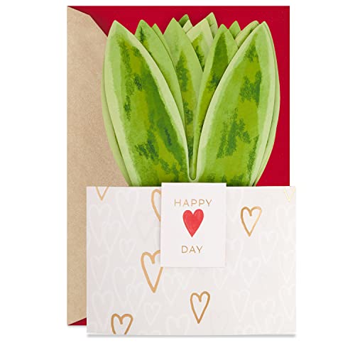 Hallmark Paper Wonder Pop Up Valentines Day Card (Snake Plant) (5VFE1127)