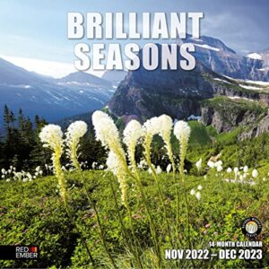 RED EMBER Brilliant Seasons 2023 Hangable Monthly Wall Calendar | 12" x 24" Open | Thick & Sturdy Paper | Giftable | Simply Stunning