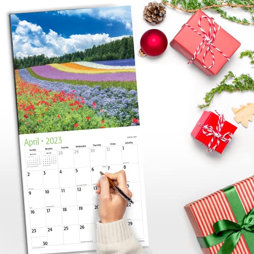 RED EMBER Brilliant Seasons 2023 Hangable Monthly Wall Calendar | 12" x 24" Open | Thick & Sturdy Paper | Giftable | Simply Stunning