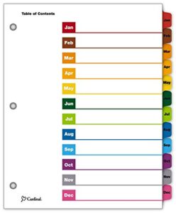 cardinal onestep binder dividers, 12-tab monthly, customizable table of contents, reversible multicolor tabs, 1 set (60318cb)