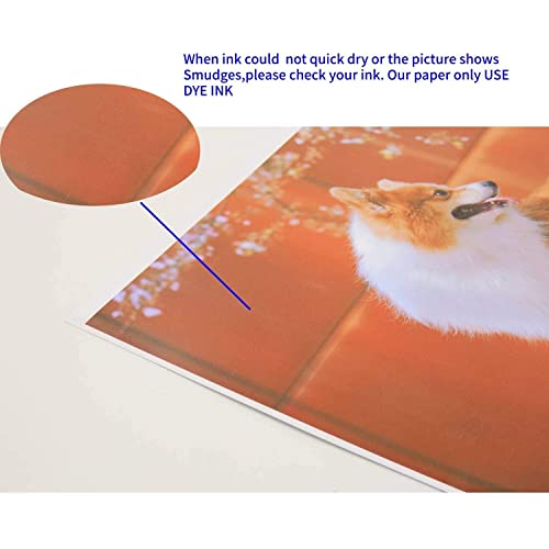 Koala Double Side Glossy Photo Paper 8.5x11 Inches 120gsm 100 Sheets Compatible with Inkjet Printer