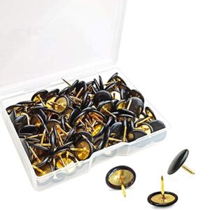 100 PCS Push Pins,Thumb Tacks, Board Pins for Cork Board, Push Pins for School, Office, Map, Photo Wall, Cork Board Bulletin Board(Black)