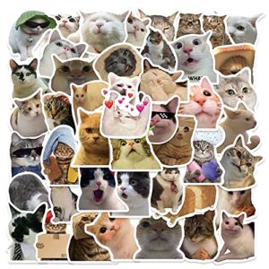 50pcs cute cat stickers bulk kawaii for kids water bottle cars adults laptop