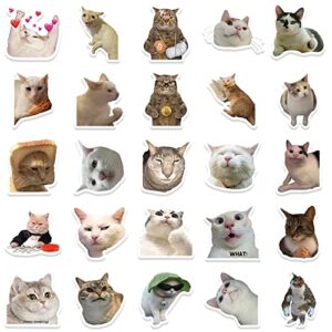 50Pcs Cute Cat Stickers Bulk Kawaii for Kids Water Bottle Cars Adults Laptop