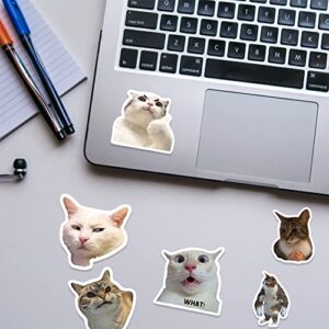 50Pcs Cute Cat Stickers Bulk Kawaii for Kids Water Bottle Cars Adults Laptop