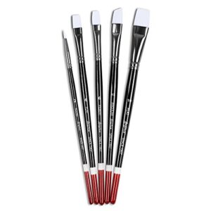 angelus 5pc paint brush set