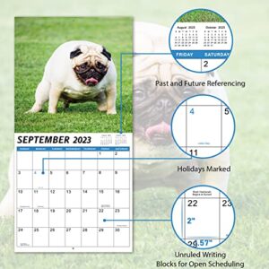 2023-2024 Wall Calendar – 18 Monthly Pooping Dogs Calendar 2023, Jan 2023 - Jun 2024, Funny Gag Gifts Dog Calendar, 11.8" x 23.6" (Open), 11.8" x 11.8"(Closed), Perfect White Elephant Gift Funny