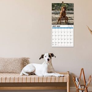 2023-2024 Wall Calendar – 18 Monthly Pooping Dogs Calendar 2023, Jan 2023 - Jun 2024, Funny Gag Gifts Dog Calendar, 11.8" x 23.6" (Open), 11.8" x 11.8"(Closed), Perfect White Elephant Gift Funny