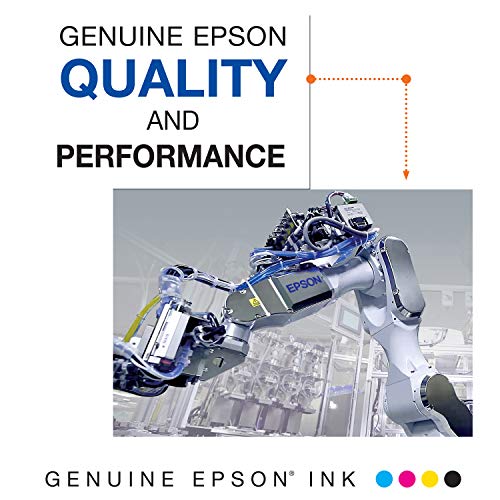 EPSON T202 Claria -Ink High Capacity Black & Standard Color -Cartridge Combo Pack (T202XL-BCS) for select Epson Expression and WorkForce Printers