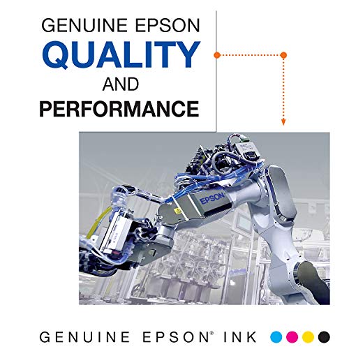 EPSON T702 DURABrite Ultra -Ink Standard Capacity Black -Cartridge (T702120-S) for select Epson WorkForce Pro Printers