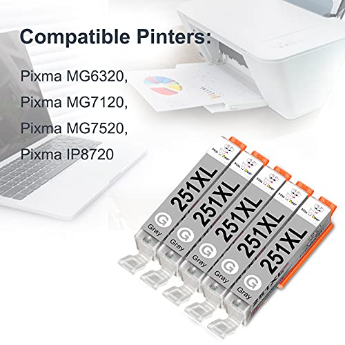 Miss Deer Compatible 251 Gray Ink Cartridge Replacement for Canon CLI-251 GY CLI-251XL CLI251XL 251XL Work with PIXMA MG6320 MG7120 MG7520 IP8720 Printer (5Gray) 5-Pack