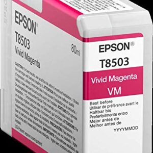 Epson T850300 T850 UltraChrome HD Vivid Magenta -Ink