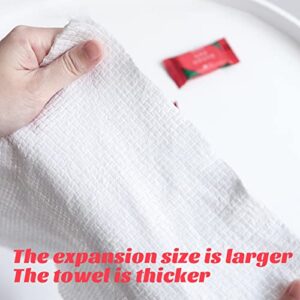 Compressed Towel, Disposable Face Compressed Towels, Soft Compressed Hand Wipe, Portable Compressed Coin Tissue for Travel/Home/Outdoor Activities（9.4X10.8in/20PCS）