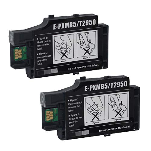 Buyink Remanufactured wf-100 Maintenance Box Compatible for WF-100 WF-100W WF-100 WF-110 Printer (2 Pack)