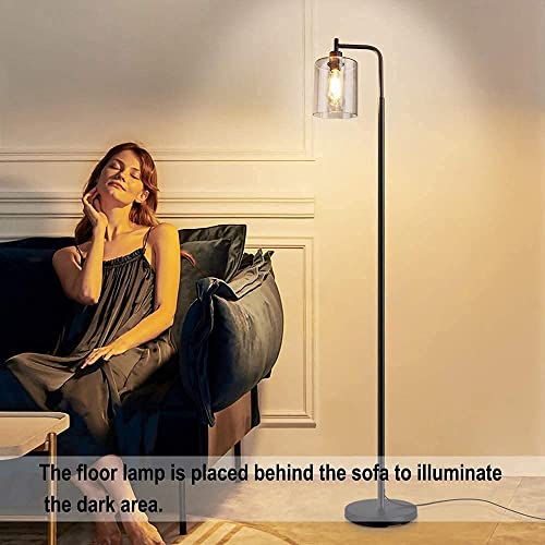 Depuley Black Floor Lamp, Industrial LED Floor Lamps with Hanging Glass Shade, Farmhouse Standing Lamp Modern Tall Pole Lighting for Living Room, Bedroom, Office, Study Room, E26 Bulb Included