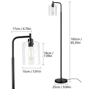 Depuley Black Floor Lamp, Industrial LED Floor Lamps with Hanging Glass Shade, Farmhouse Standing Lamp Modern Tall Pole Lighting for Living Room, Bedroom, Office, Study Room, E26 Bulb Included