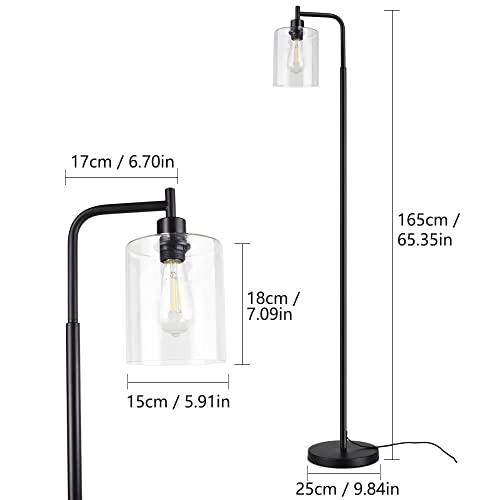 Depuley Black Floor Lamp, Industrial LED Floor Lamps with Hanging Glass Shade, Farmhouse Standing Lamp Modern Tall Pole Lighting for Living Room, Bedroom, Office, Study Room, E26 Bulb Included