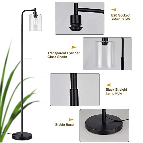 Depuley Black Floor Lamp, Industrial LED Floor Lamps with Hanging Glass Shade, Farmhouse Standing Lamp Modern Tall Pole Lighting for Living Room, Bedroom, Office, Study Room, E26 Bulb Included