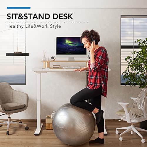 FLEXISPOT 3 Stages Dual Motor Electric Standing Desk 55x28 Inches Whole-Piece Desk Board Height Adjustable Desk Electric Stand Up Desk Sit Stand Desk(White Frame + White Desktop)