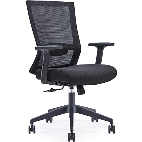 Farini Office Chair, Mid-Back Ergonomic Mesh Chair Executive Swivel Desk Chair with Lumbar Support Adjustable Height Arm (Black)