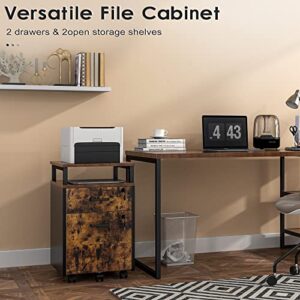 Oqefuoe Mobile File Cabinet, 2 Drawer File Cabinet with Lock and Storage Shelf Filing Cabinet Printer Stand for A4/Letter Size Hanging File Folders Rustic Brown