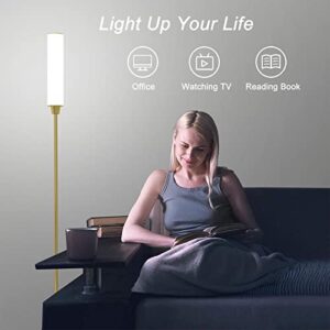 Mudodi Floor Lamps for Living Room with Remote Control, Full Range Dimming Minimalist Standing Lamp Perfect for Living Room, Bedrooms and Office. (Gold)