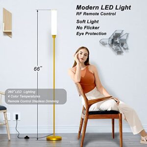 Mudodi Floor Lamps for Living Room with Remote Control, Full Range Dimming Minimalist Standing Lamp Perfect for Living Room, Bedrooms and Office. (Gold)