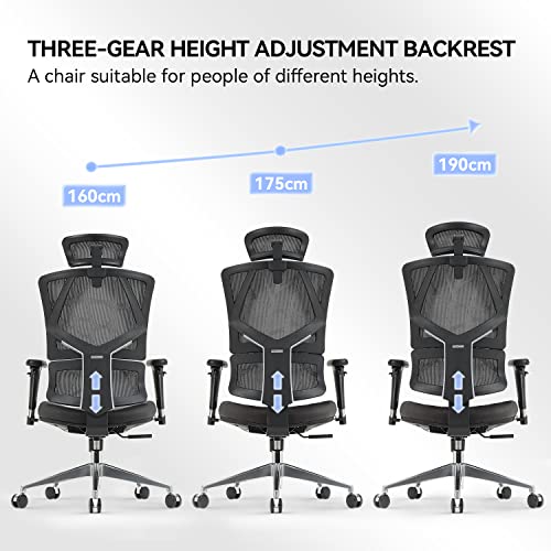 SIHOO Ergonomic Office Chair - High Back Desk Chair with Lumbar Support, 3D Armrest and Adjustable Height Backrest Thick Seat Cushion Breathable Mesh Computer Chair (Black)