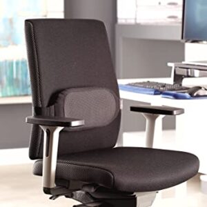 Fellowes I-Spire Series Lumbar Cushion Office Chair Back Support, Black (9472701)