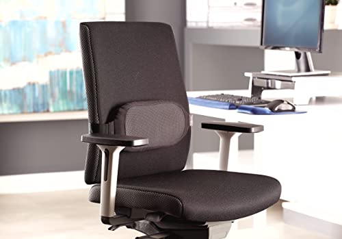 Fellowes I-Spire Series Lumbar Cushion Office Chair Back Support, Black (9472701)