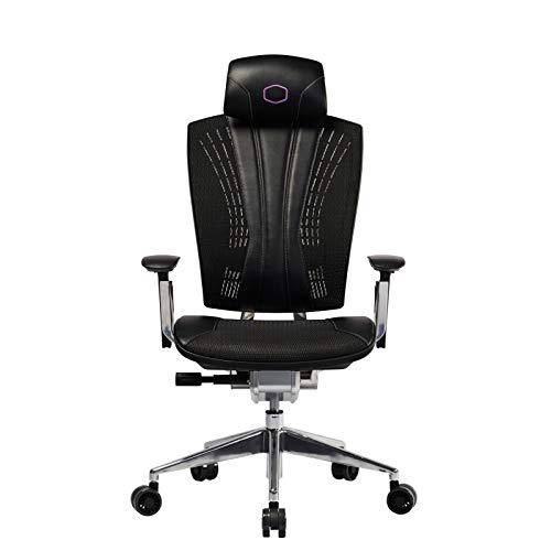 Cooler Master Ergo L Ergonomic Office Mesh Chair, Comfortable Computer Desk Chairs with High Back & Rolling Wheels for Home and Work, Lumbar Support Adjustable Backrest Headrest Armrest Deskchair